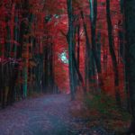 Random Tables RPG - Tabletop Encounters